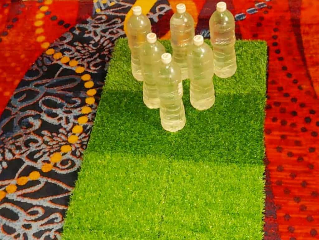 Traditional Coconut Bowling Game | Carnival World